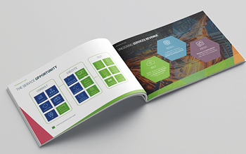 Partnering with DWS eBook - DWS Global